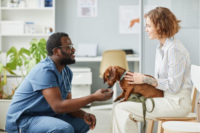 Do Vets Recommend Pet Insurance? A Vet's View